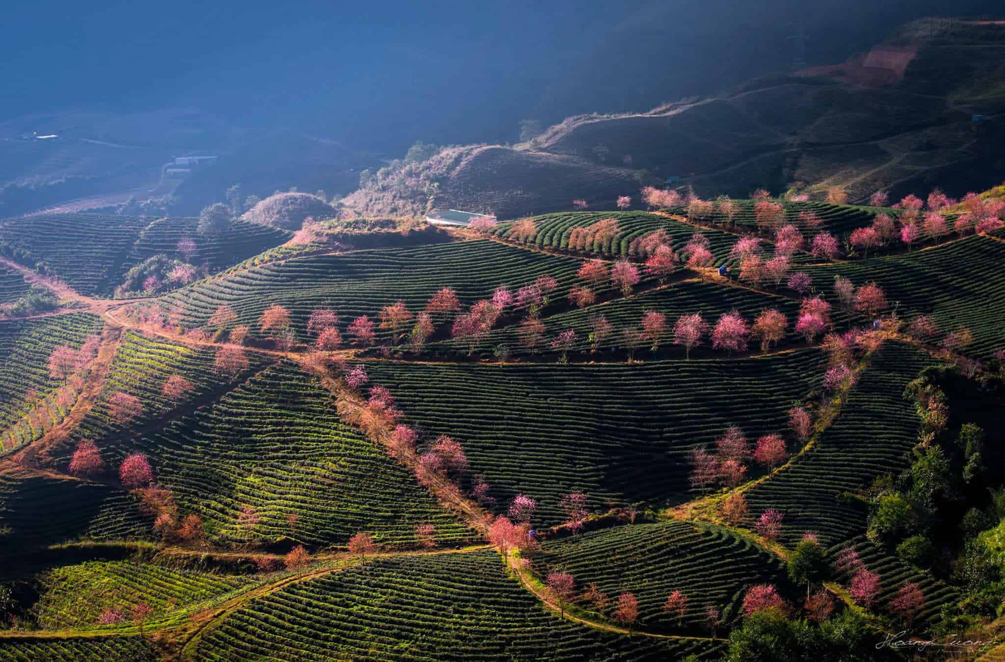 When is The Best Time to Visit Sapa? - Vietnam Allure Travel